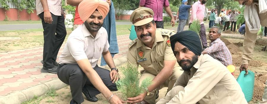 Van Mahotsav 2024 Celebrations under the ''Ek Ped Maa ke Naam ...