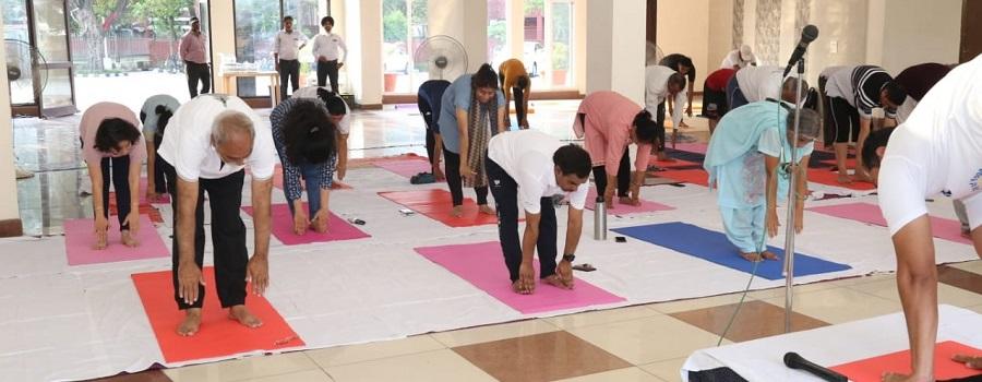 Yoga for Vasudhaiva Kutumbakam at PEC | Punjab Engineering College ...